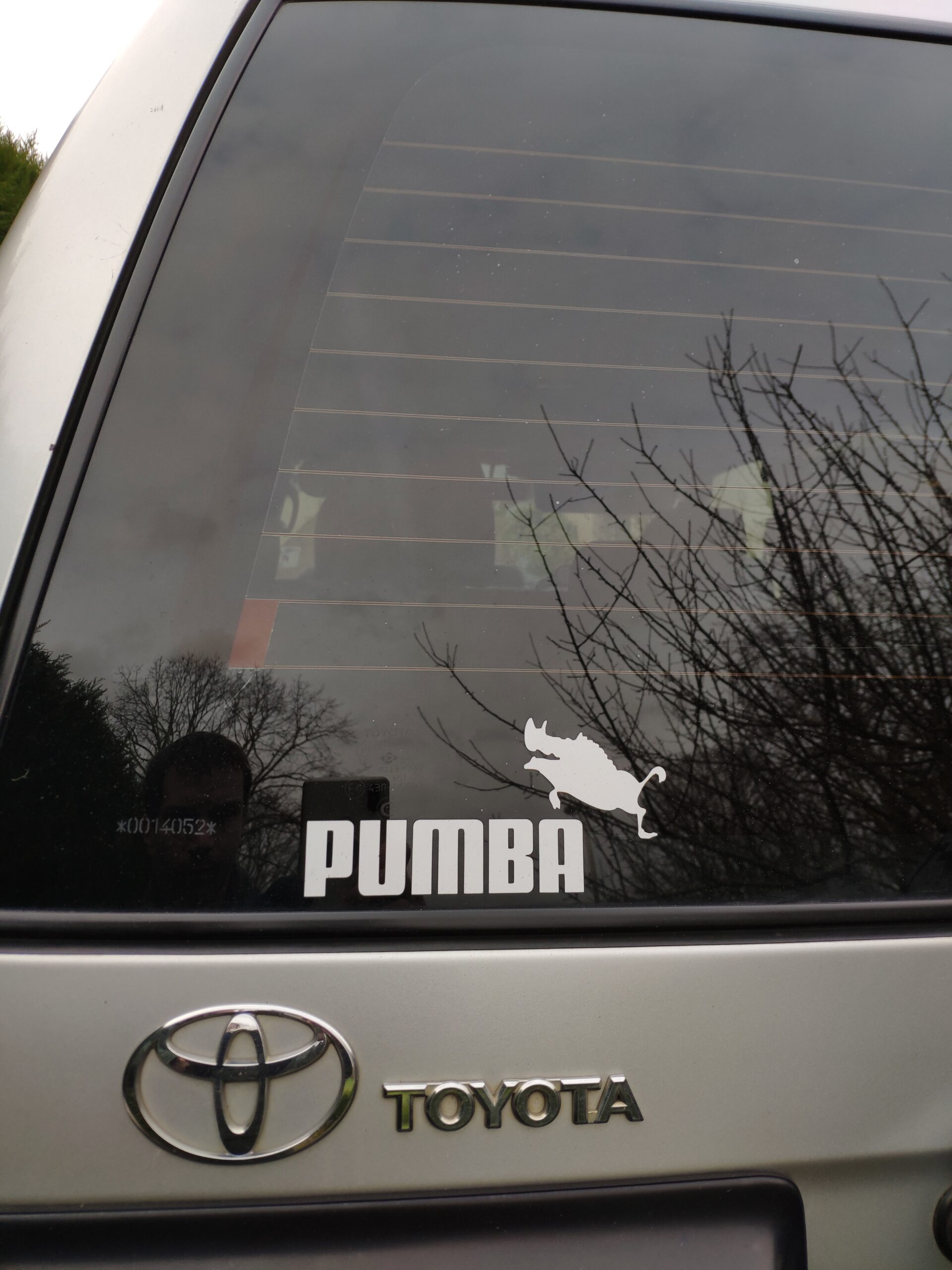 Pumba – Le blog d'Alix et Gauthier